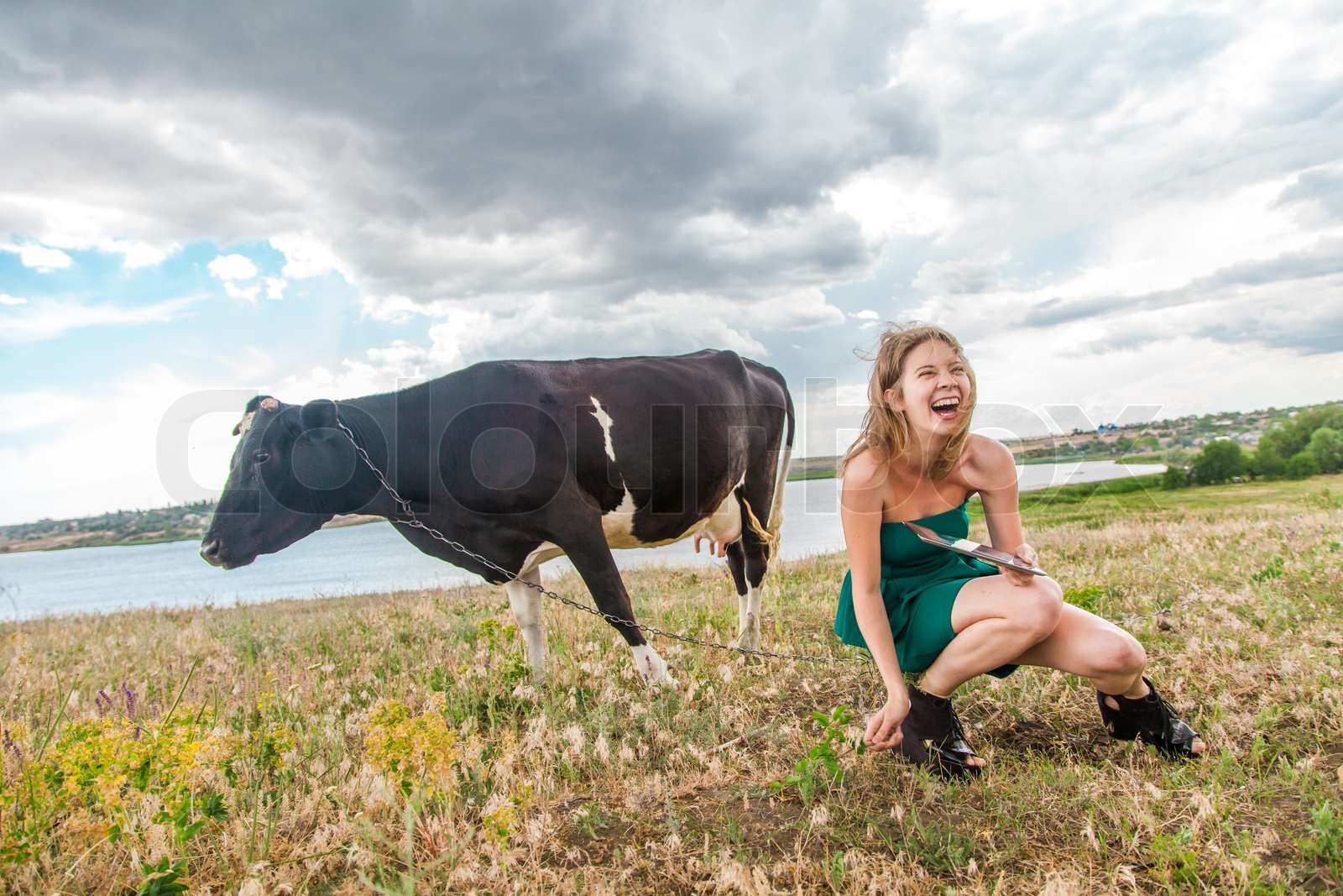 Young woman and a cow | Stock image | Colourbox