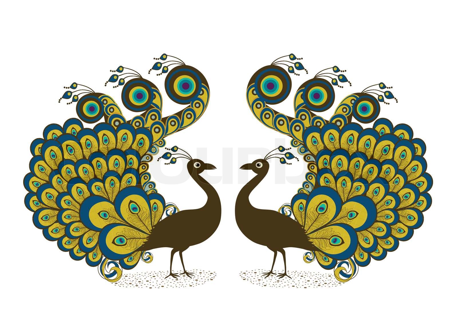 Two Peacocks Stock Vector Colourbox