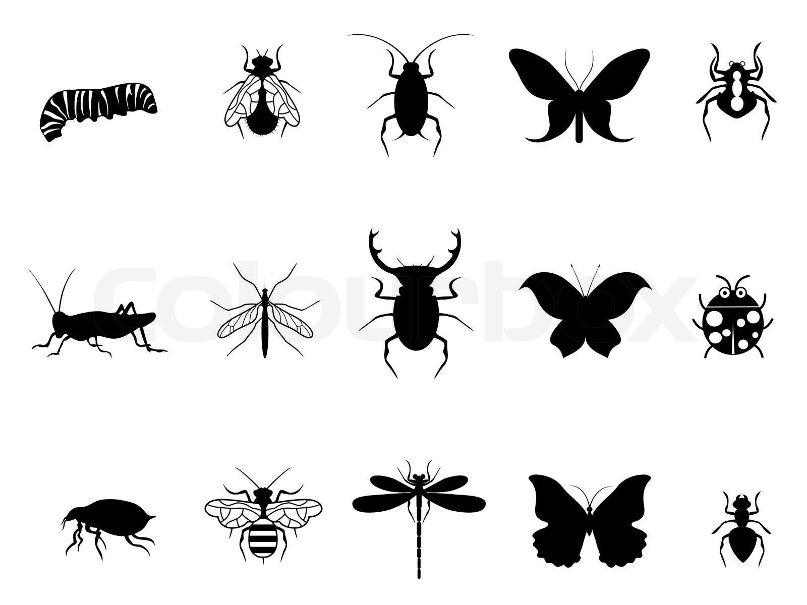 insects icon set | Stock vector | Colourbox