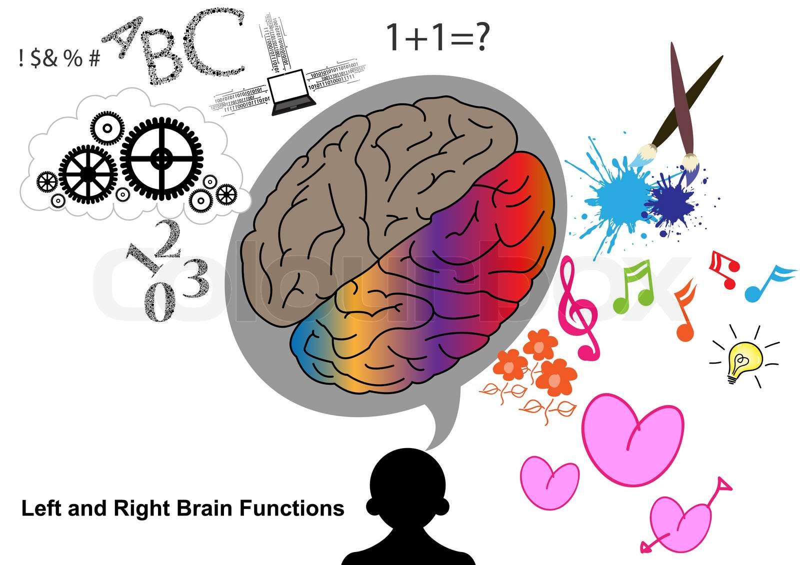 Left and Right brain function illustration | Stock vector | Colourbox