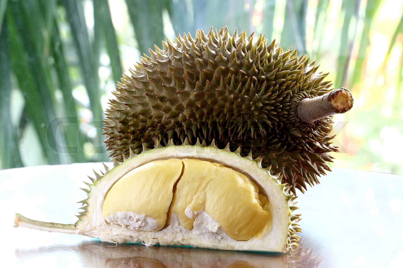 Close up of peeled Durian or Dorain | Stock image | Colourbox