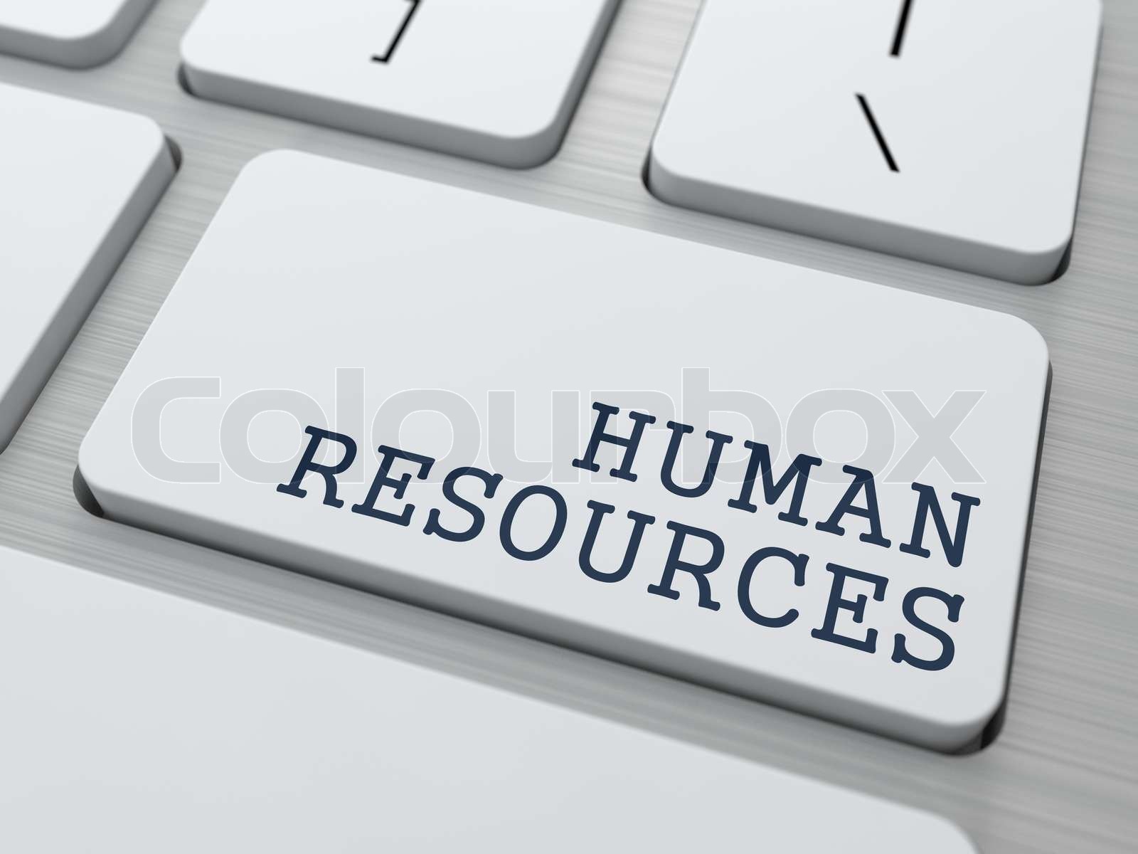 Human Resources Business Concept | Stock Bild | Colourbox