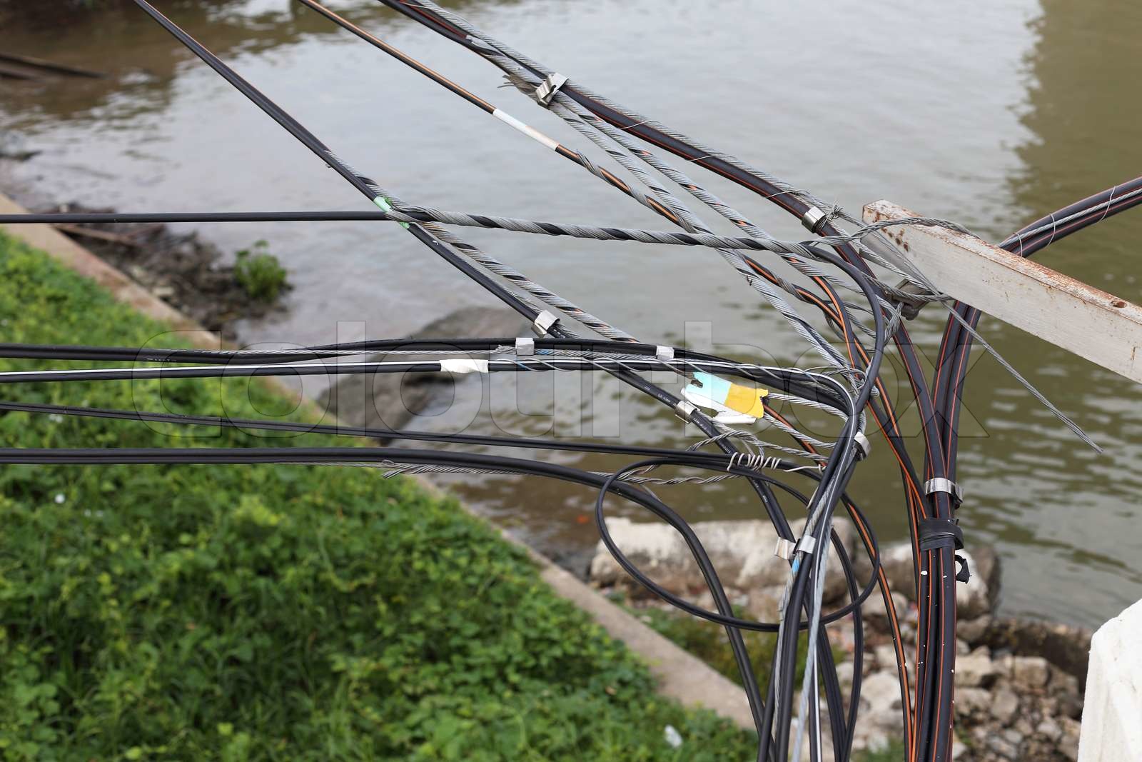 High voltage power lines overgrown | Stock image | Colourbox