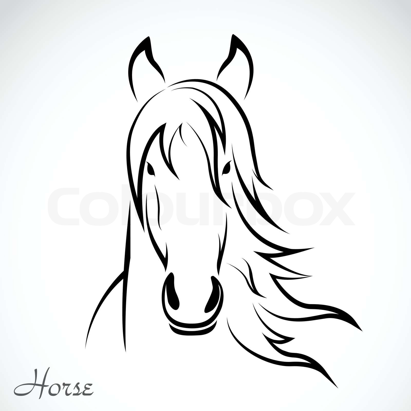 Vector image of an horse | Stock vector | Colourbox