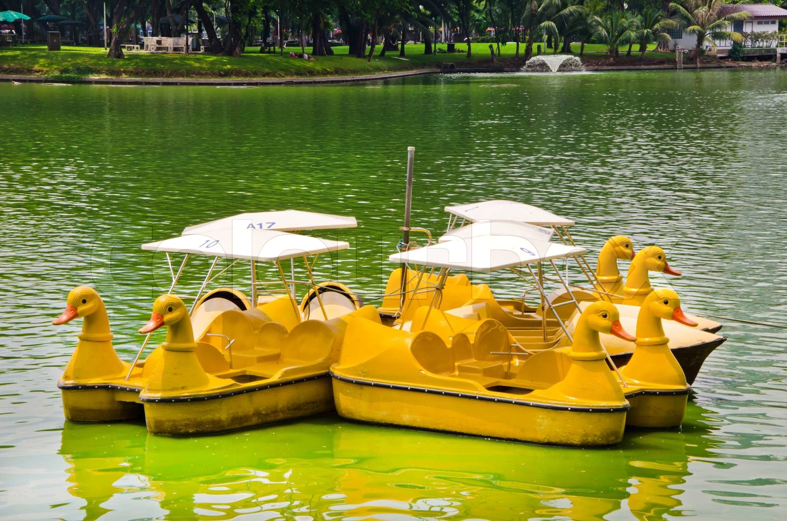 duck look-alike boat | Stock image | Colourbox