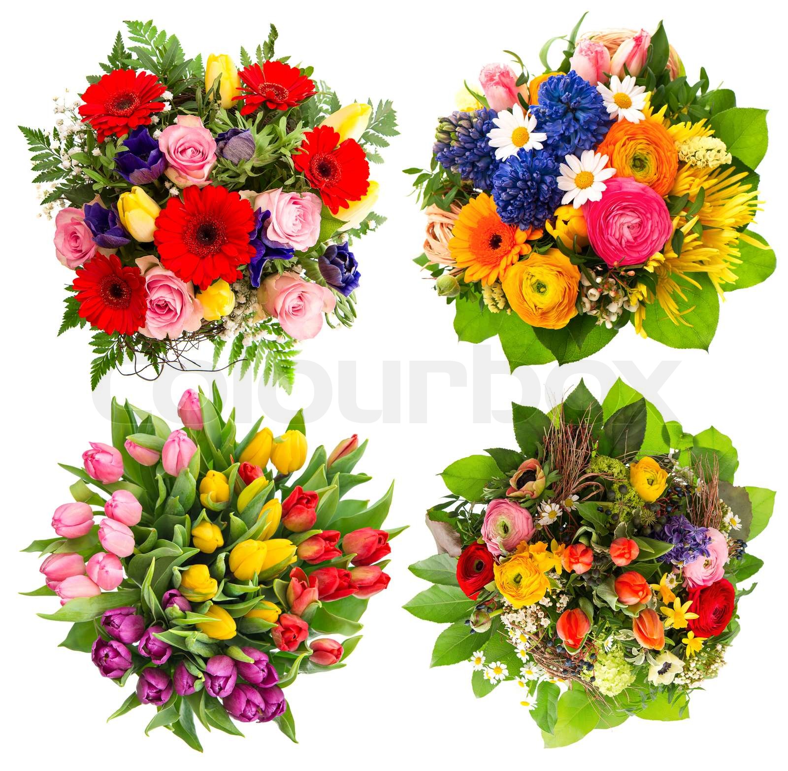 Draufsicht von vier bunten Blumensträußen | Stock Bild | Colourbox