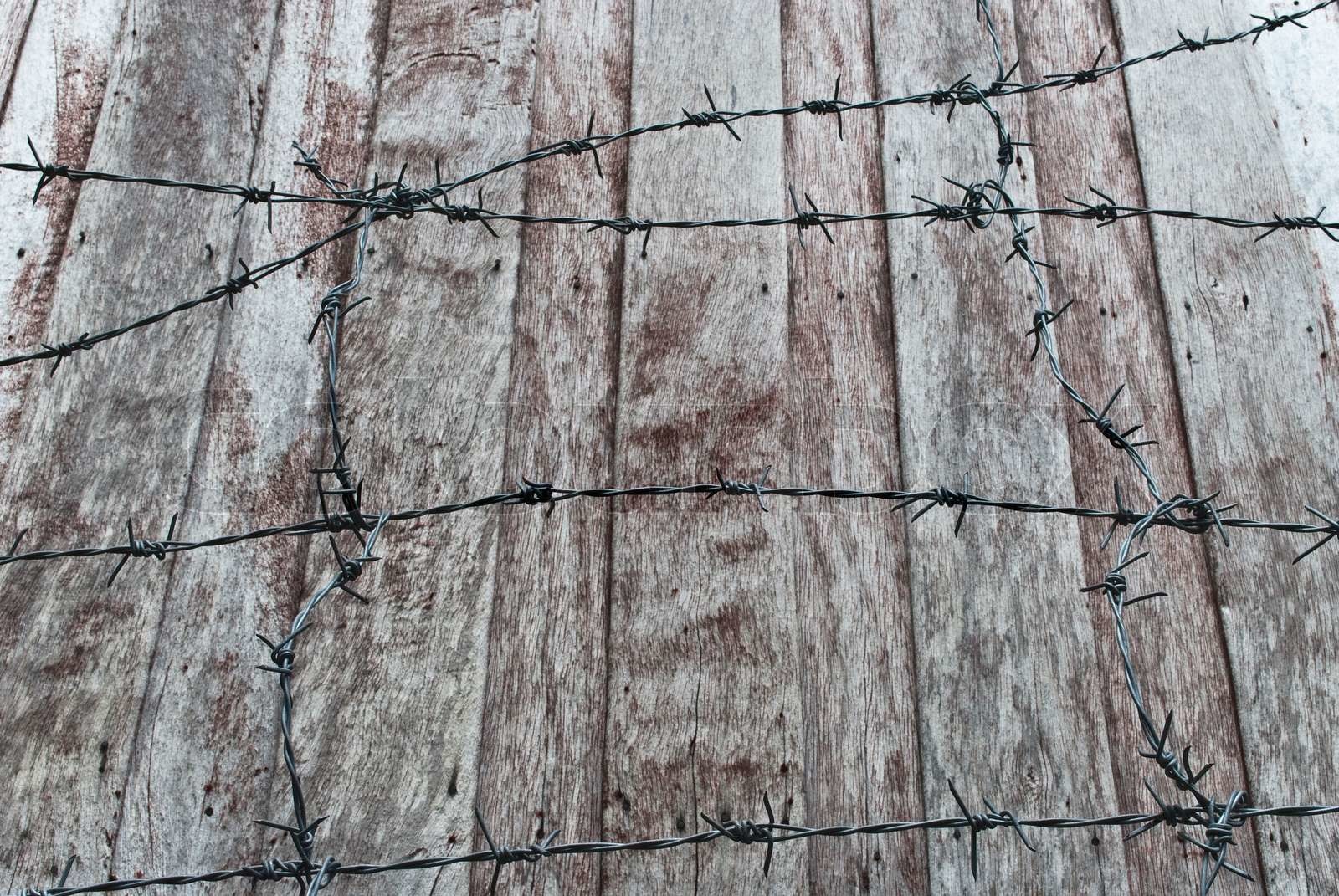 sharp wires | Stock image | Colourbox