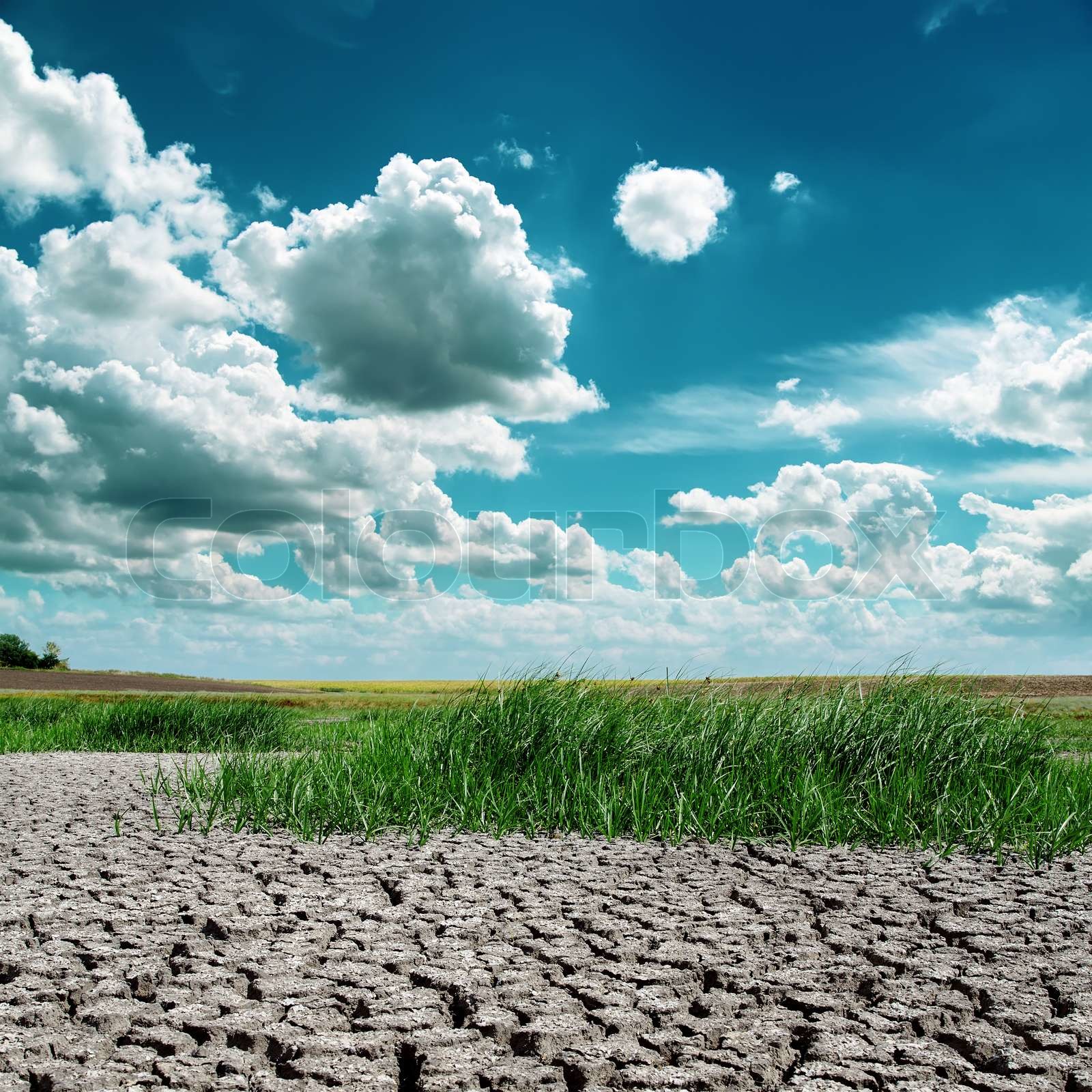 dramatic sky over drought earth | Stock image | Colourbox