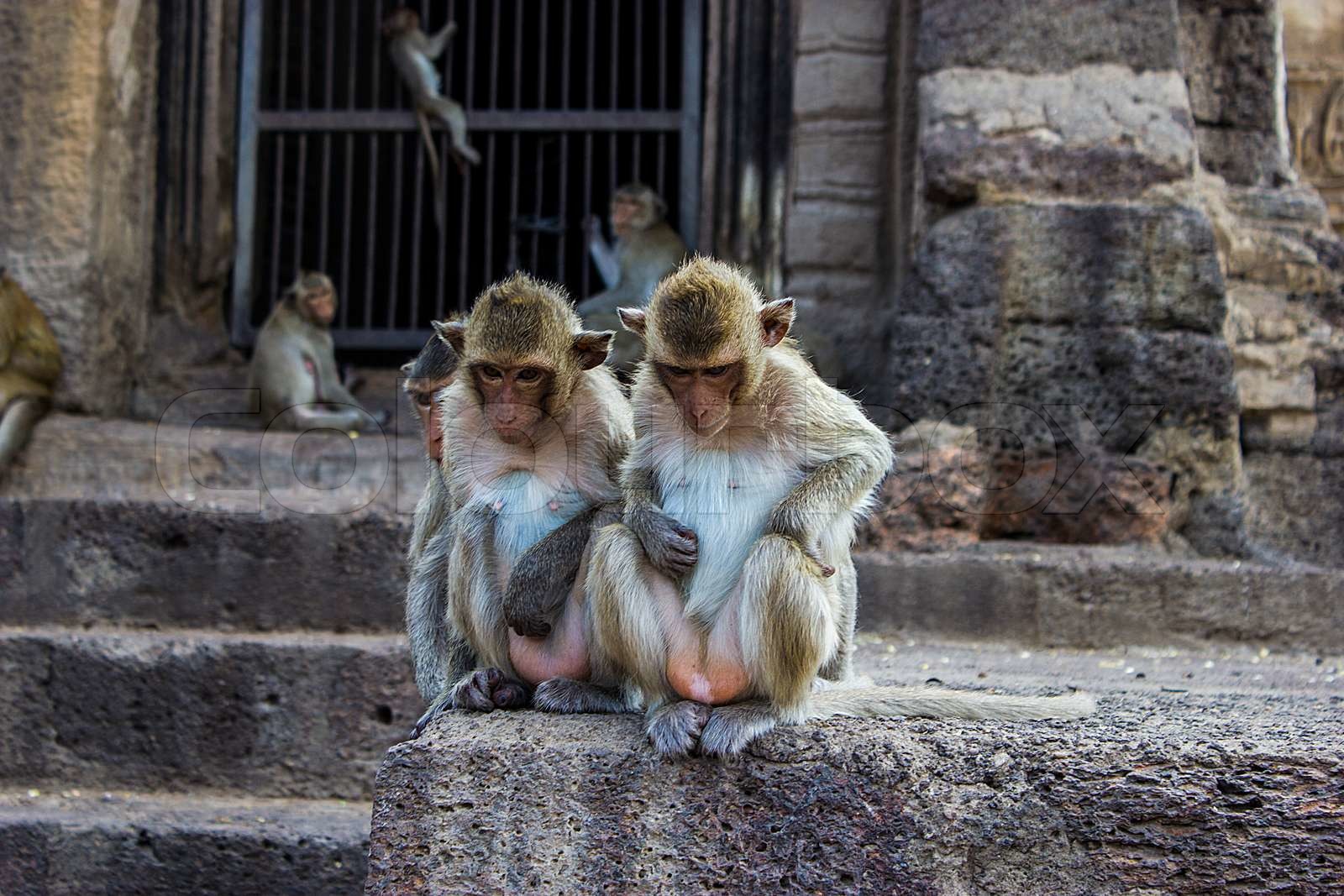 Was ist daran so interessant? | Stock Bild | Colourbox