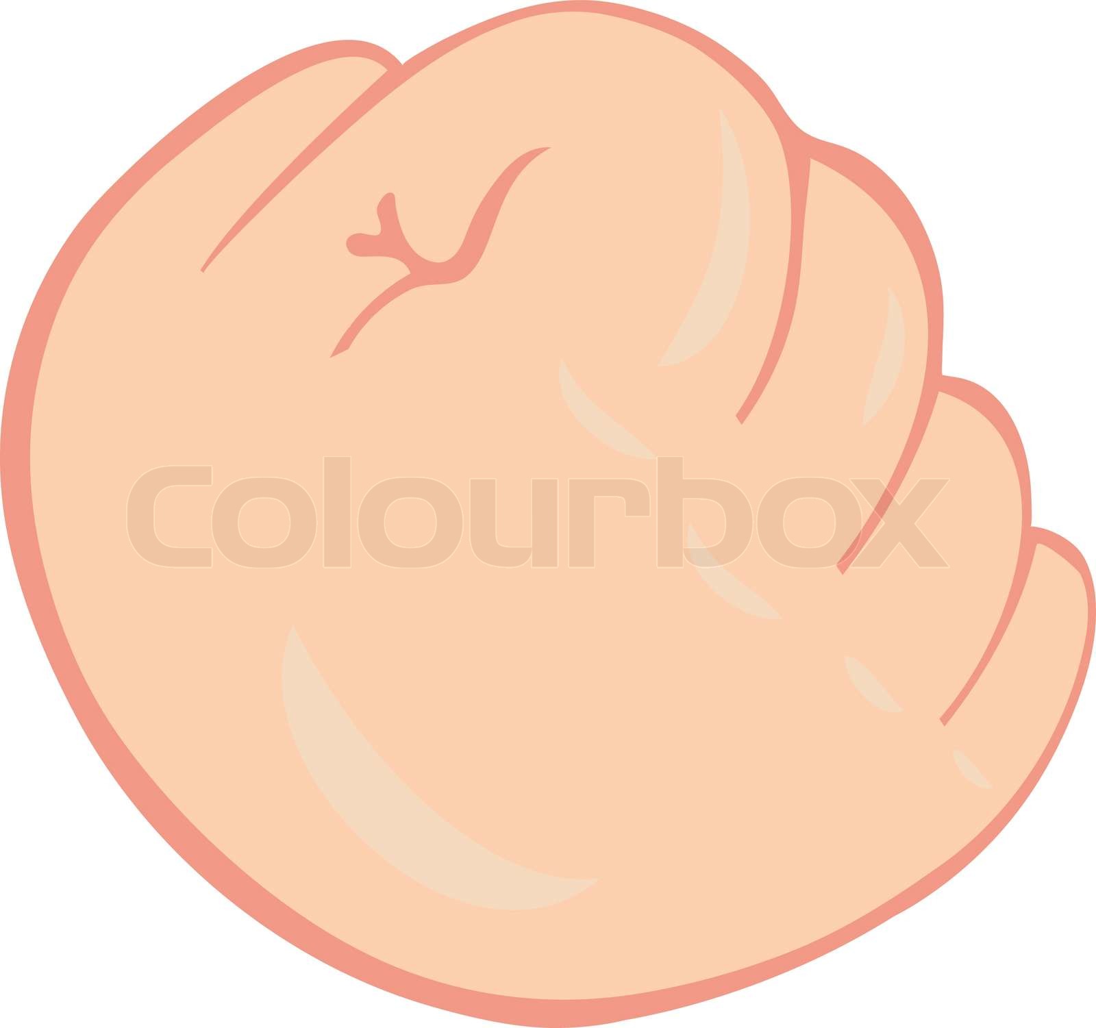 Vector fighting hand sign, punch | Stock vector | Colourbox