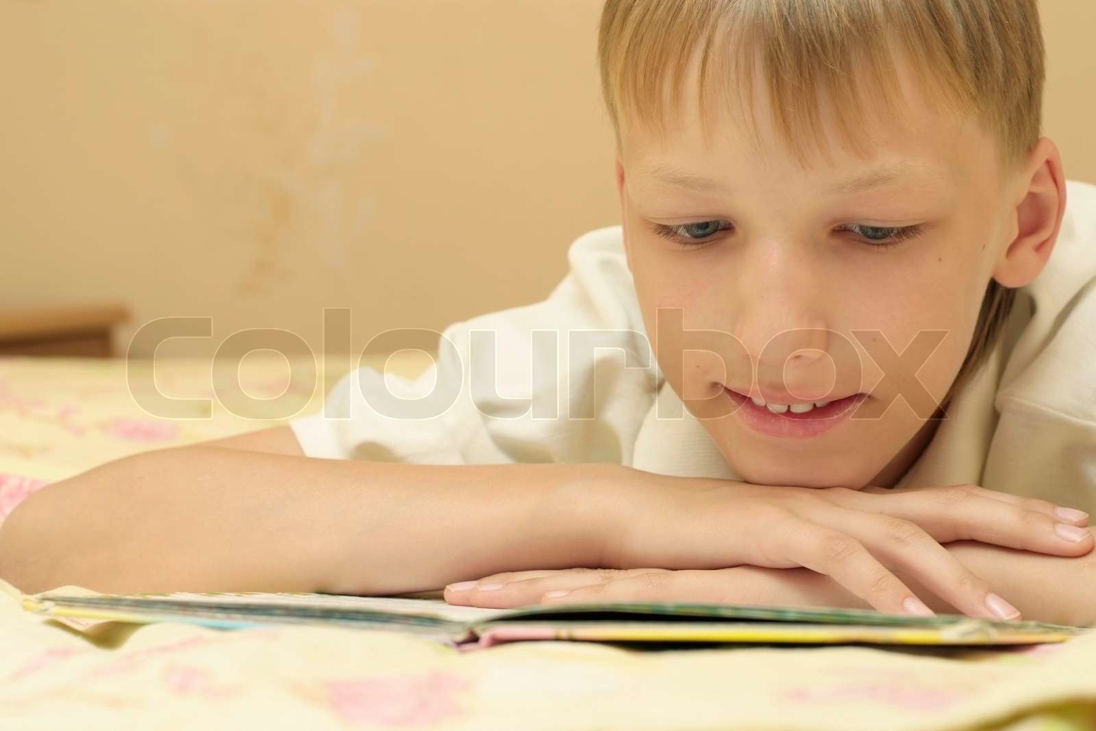 boy reading a book | Stock image | Colourbox