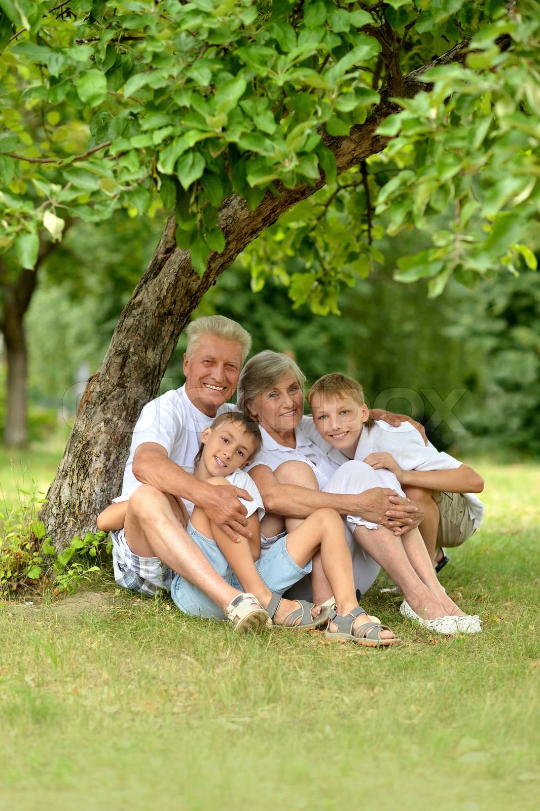 family under a tree | Stock image | Colourbox