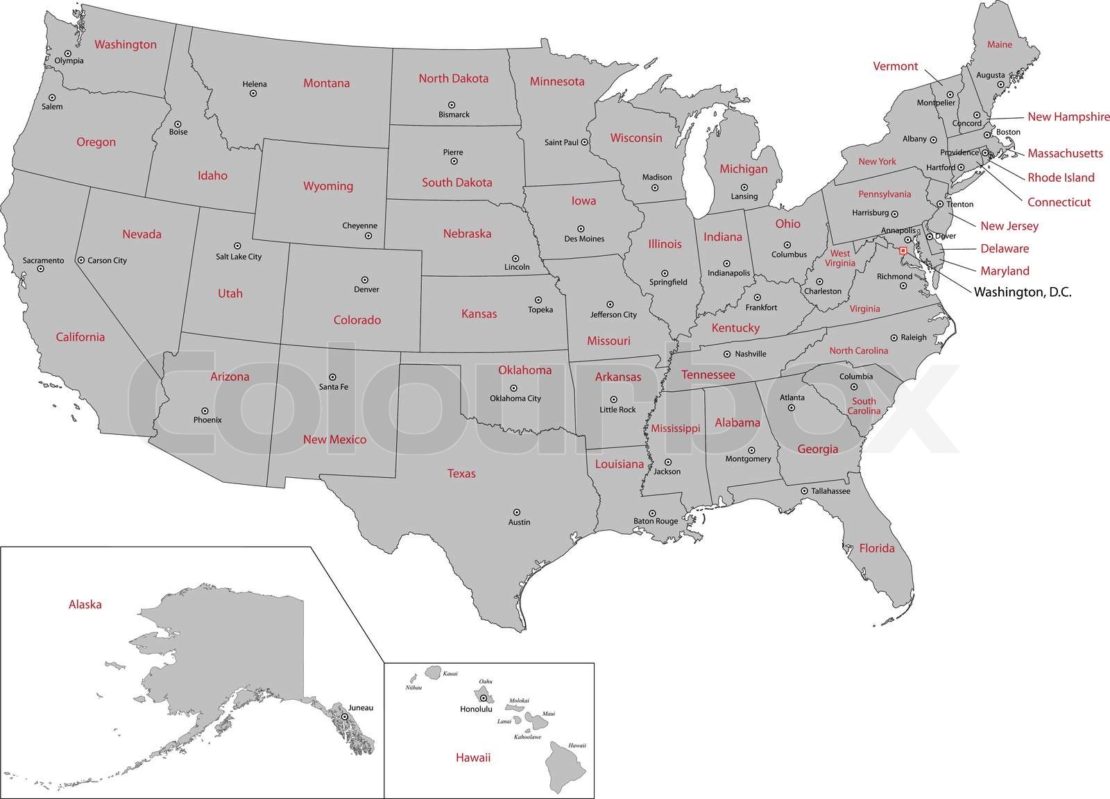 Grau USA Karte | Stock-Vektor | Colourbox
