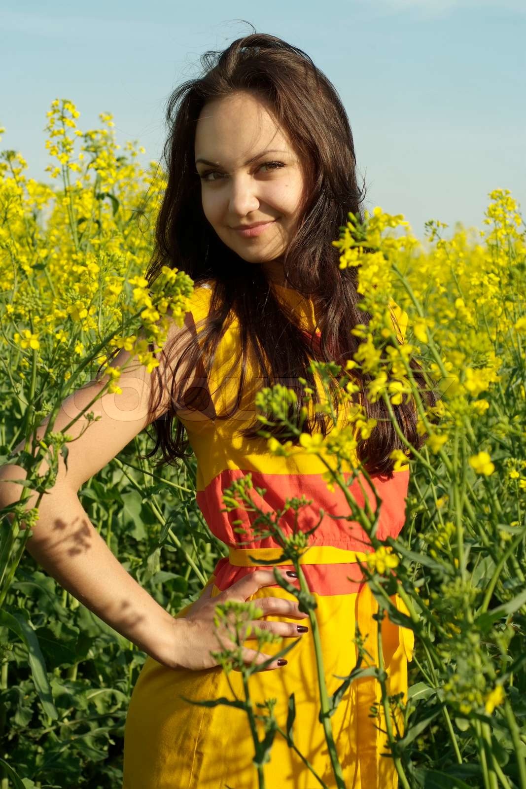 hübsche junge Frau in den mitten gelbe Blüten | Stock Bild | Colourbox