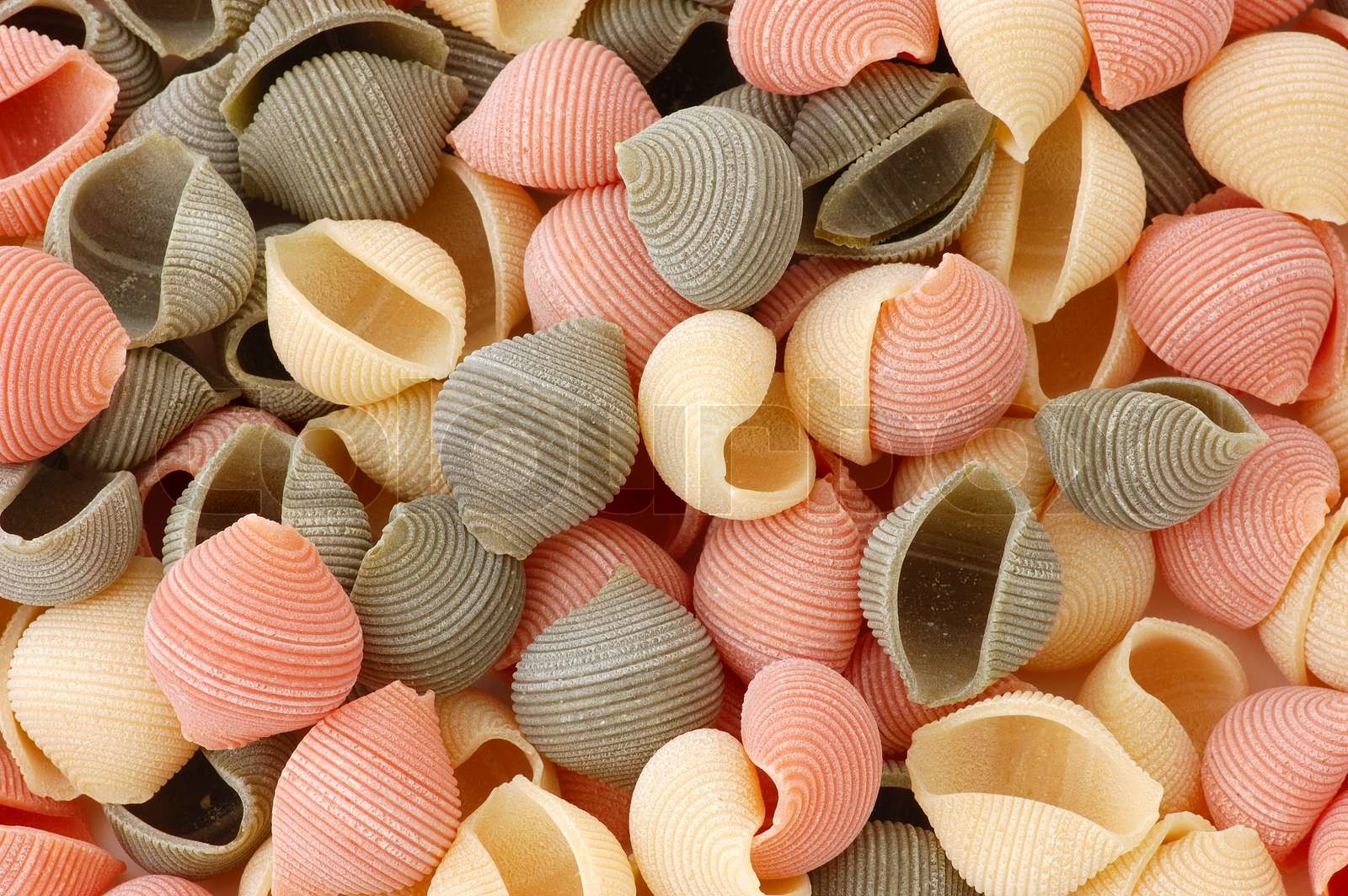 Italian Noodles Conchiglie | Stock image | Colourbox