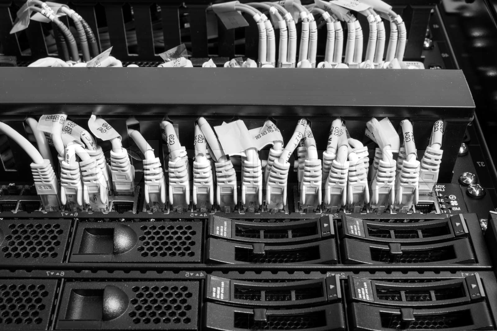 network cables connected to switch | Stock image | Colourbox