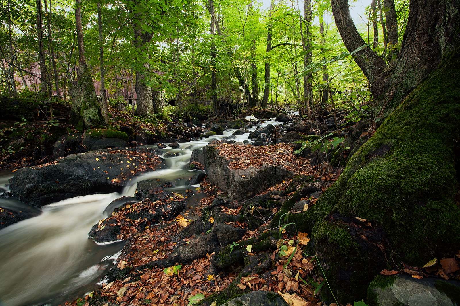The stream | Stock image | Colourbox