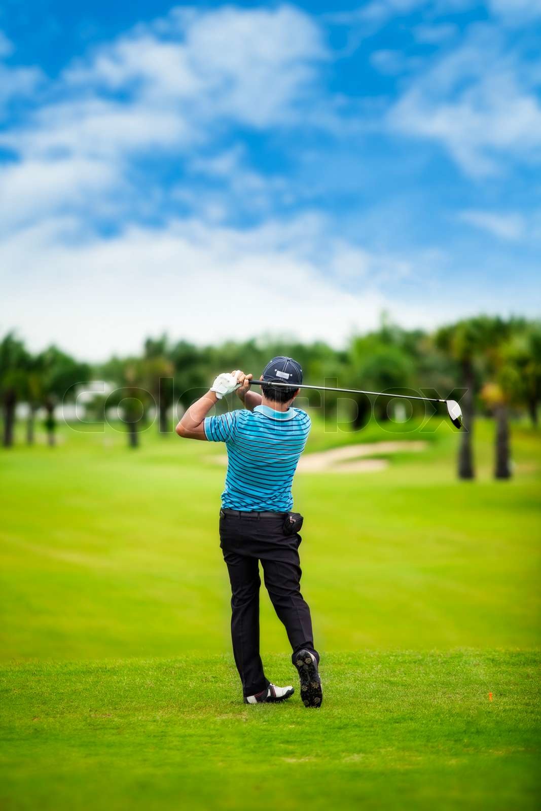 Male golf player | Stock image | Colourbox
