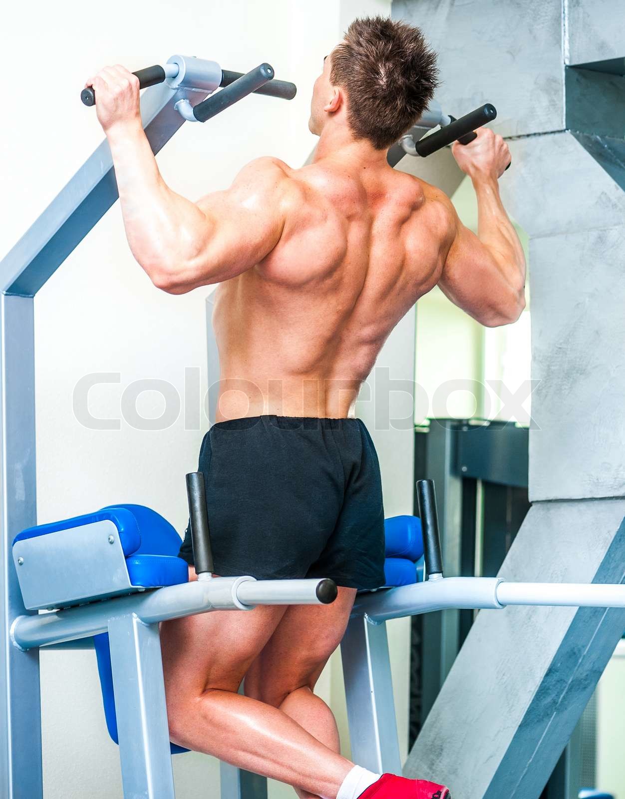 athletically built sportsman in the gym | Stock image | Colourbox