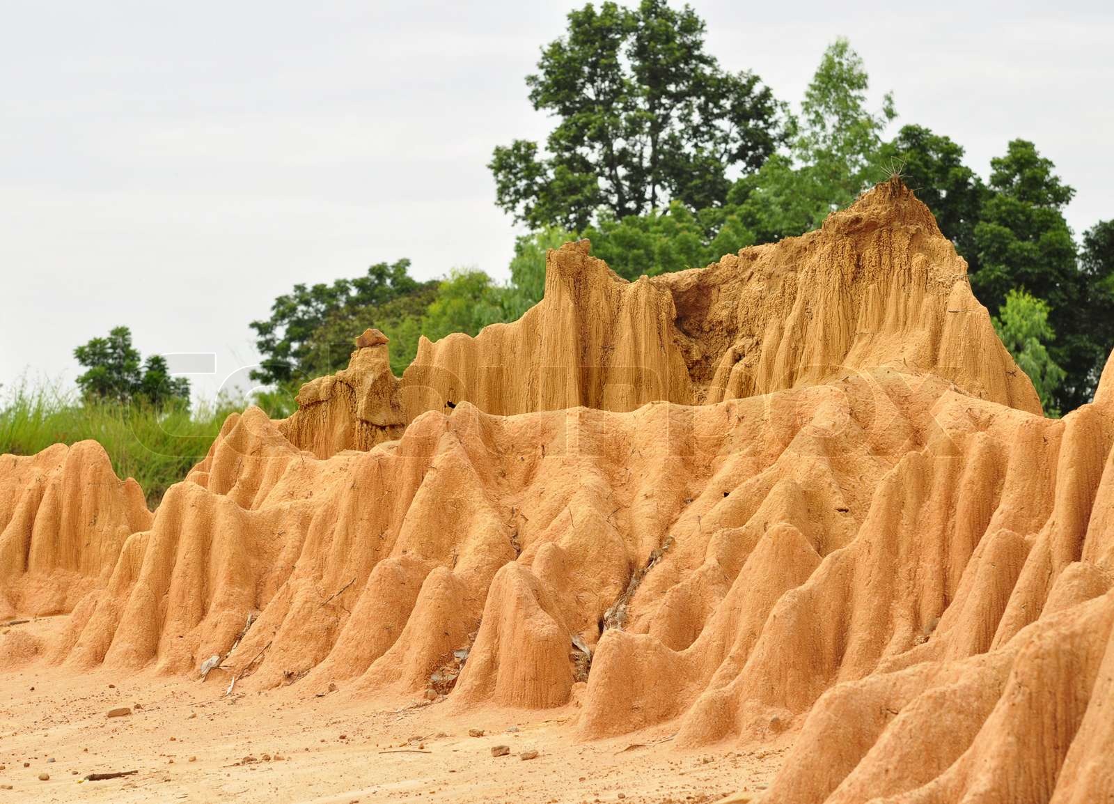 Termite hill | Stock image | Colourbox