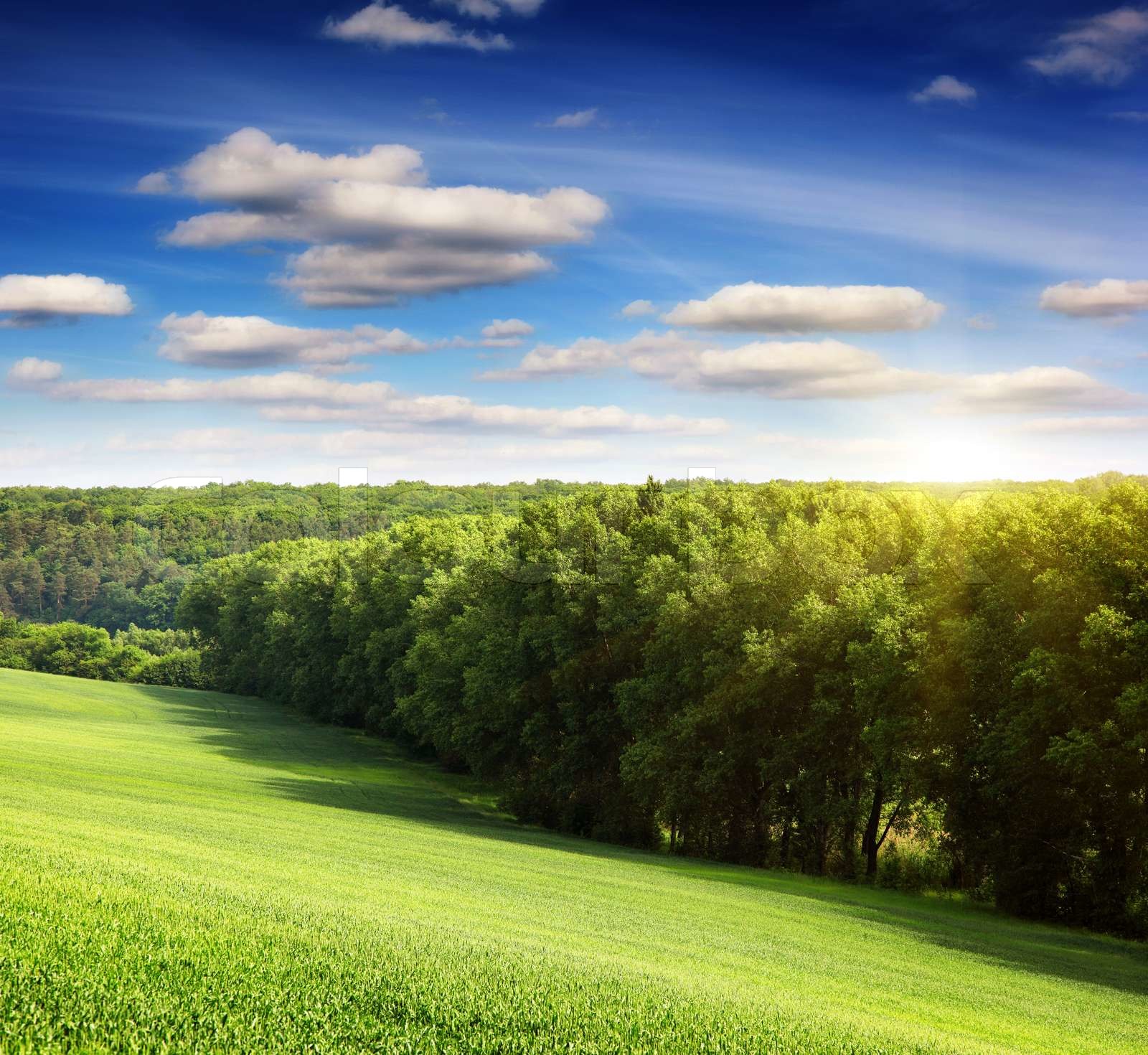 Feld | Stock Bild | Colourbox