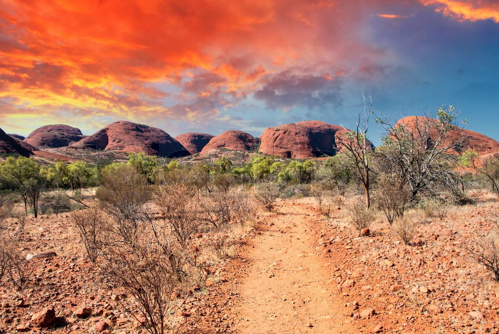 Beautiful colors and landscape of Australian Outback | Stock image ...