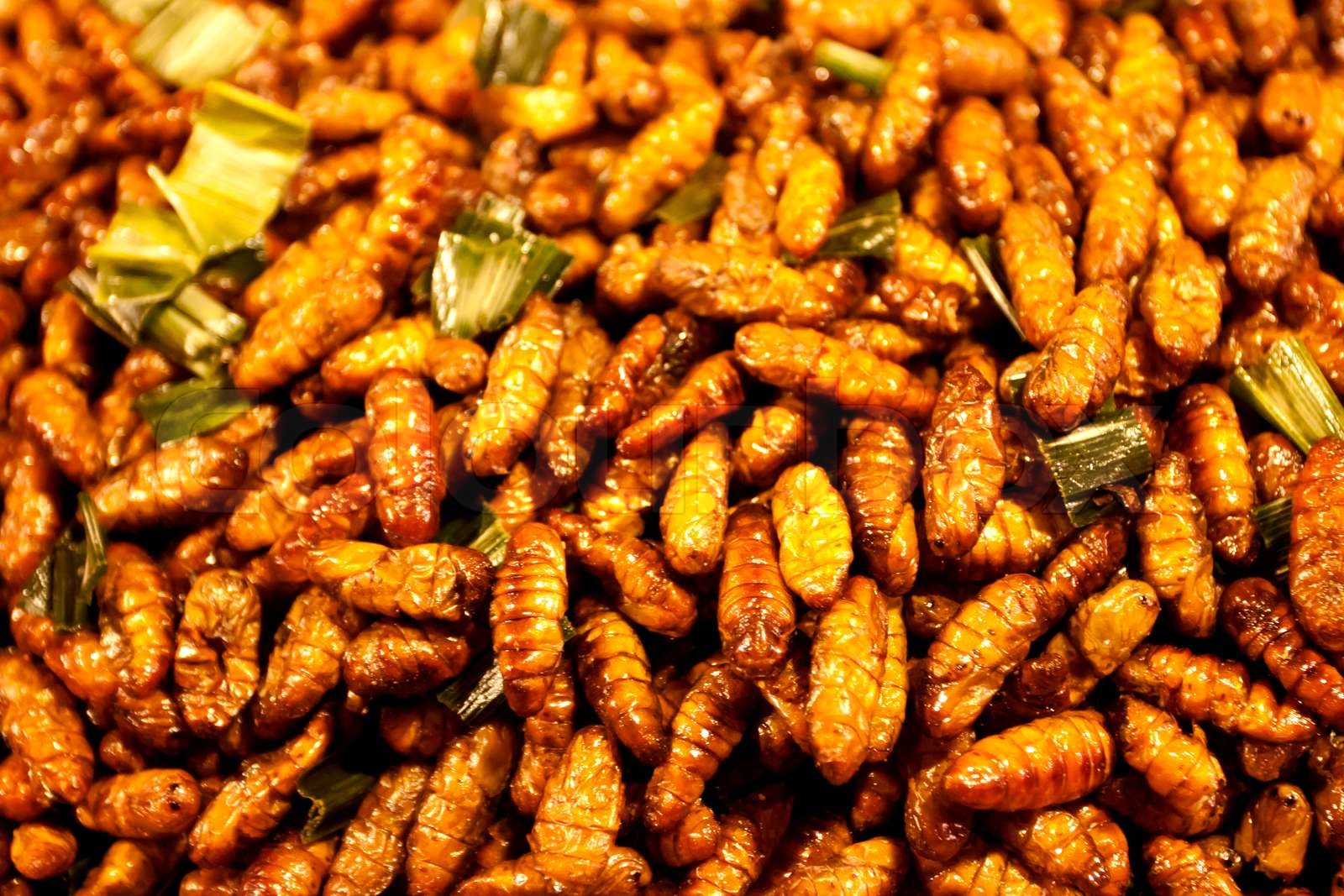 Thai Fried insects mealworms for snack | Stock image | Colourbox