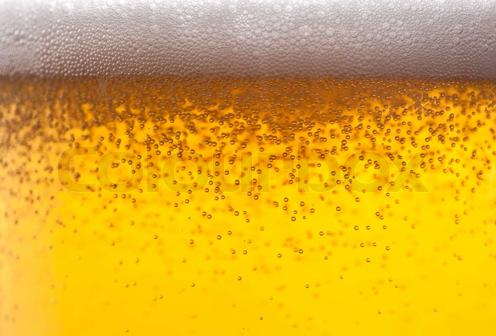 Beer bubbles | Stock image | Colourbox