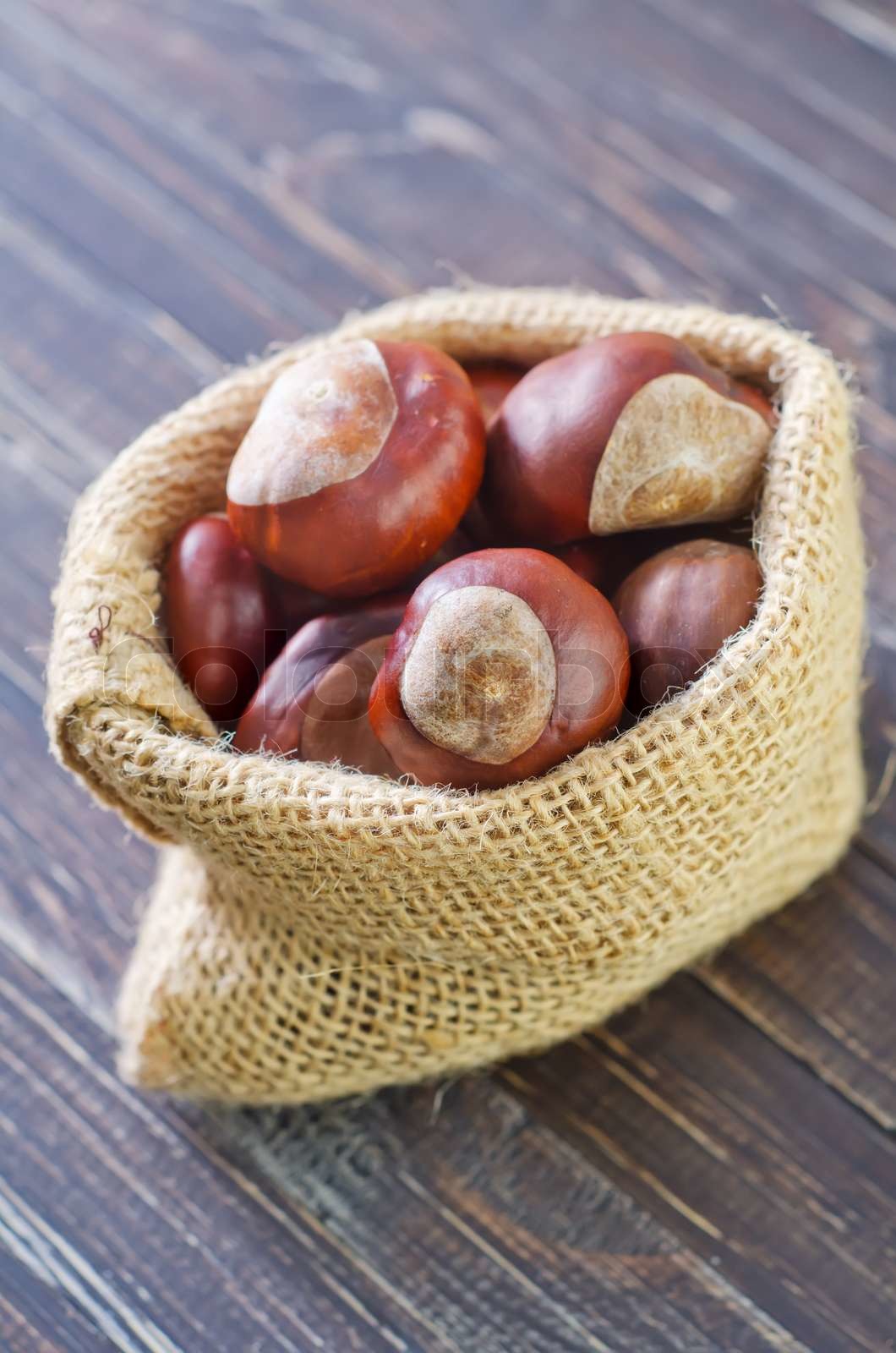 chesnuts | Stock image | Colourbox