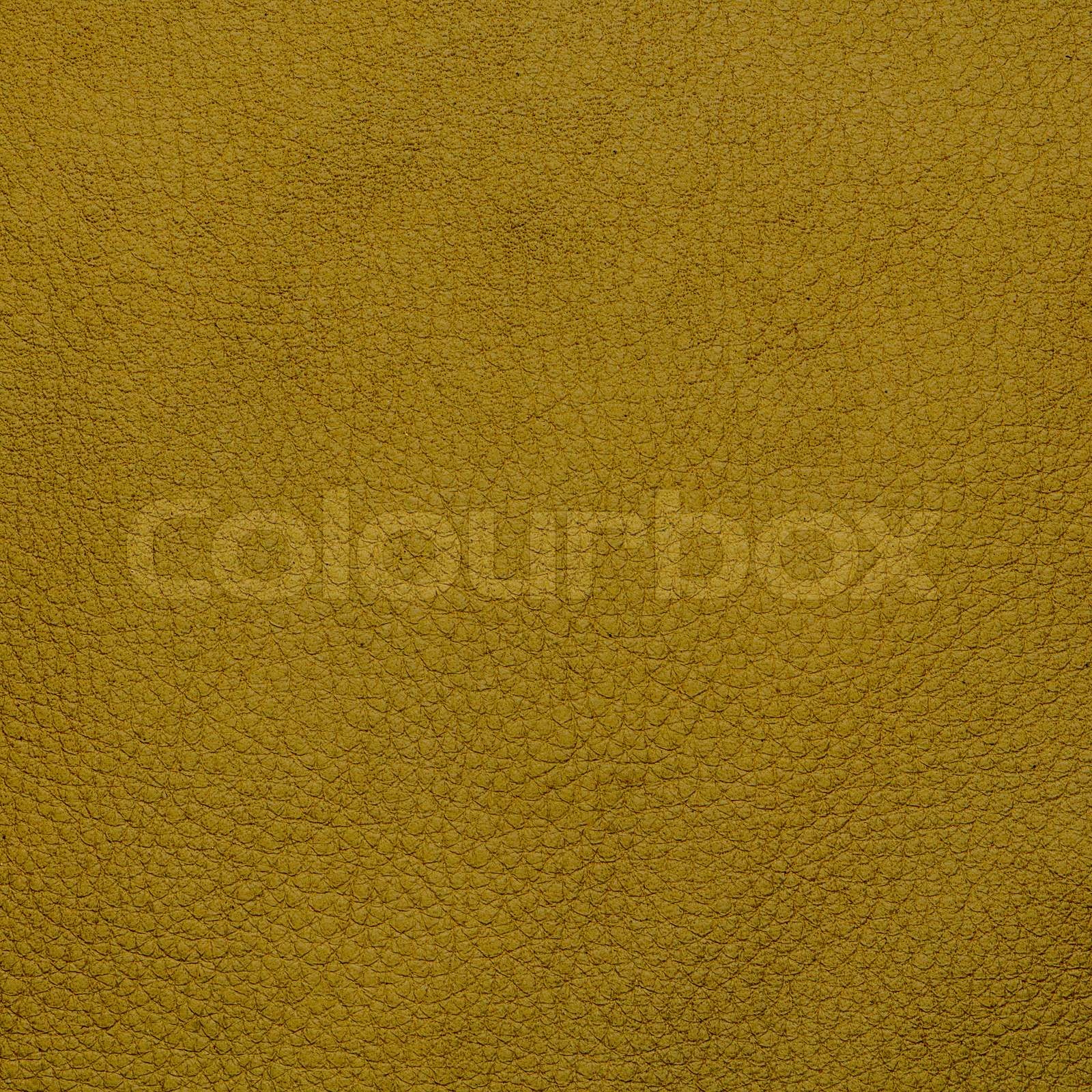 Yellow Leder | Stock Bild | Colourbox
