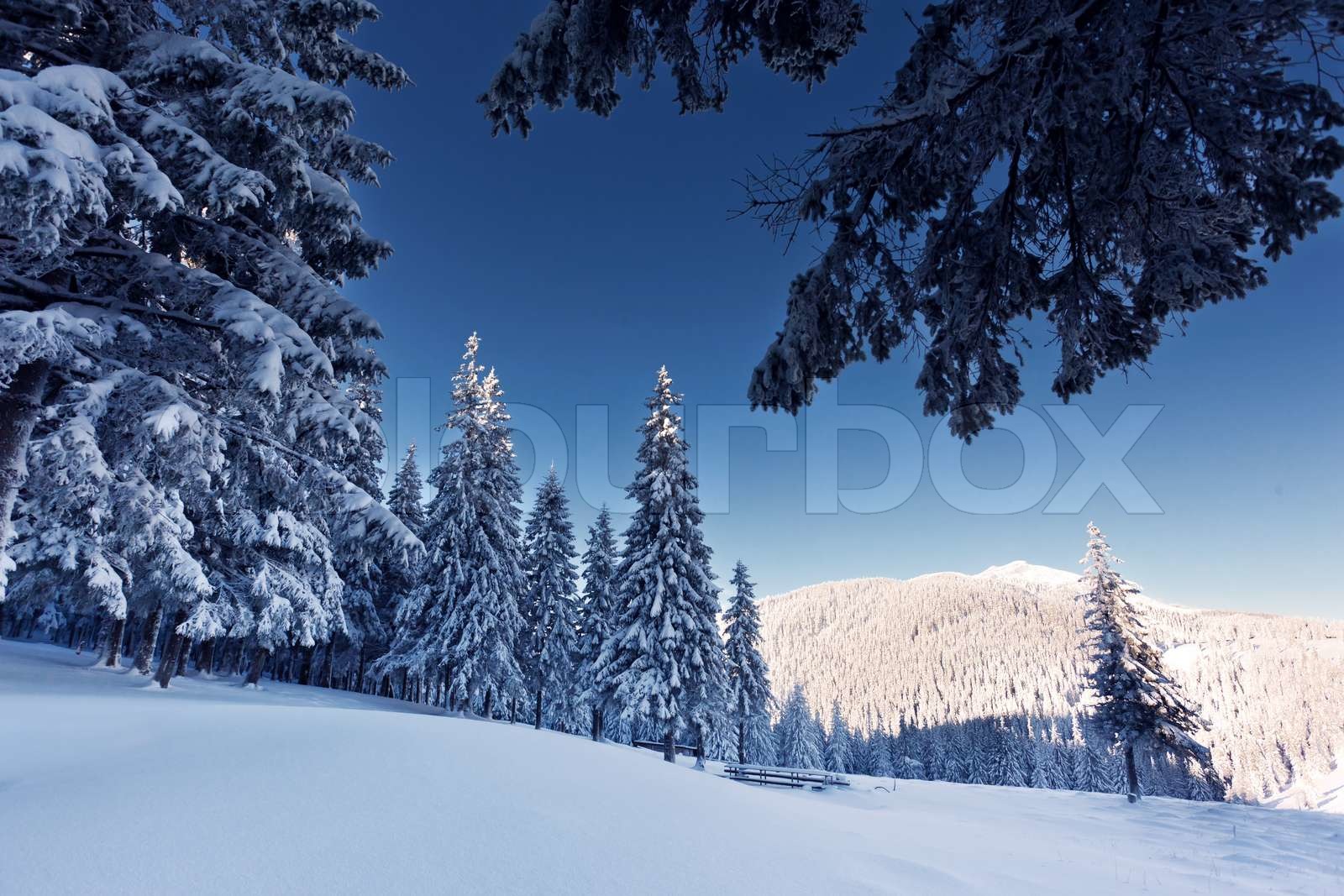 Winter | Stock image | Colourbox
