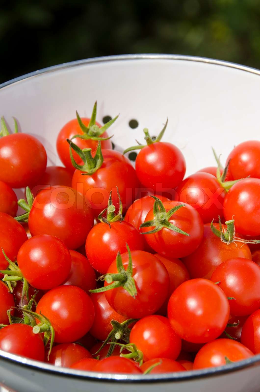 Kirschtomaten | Stock Bild | Colourbox