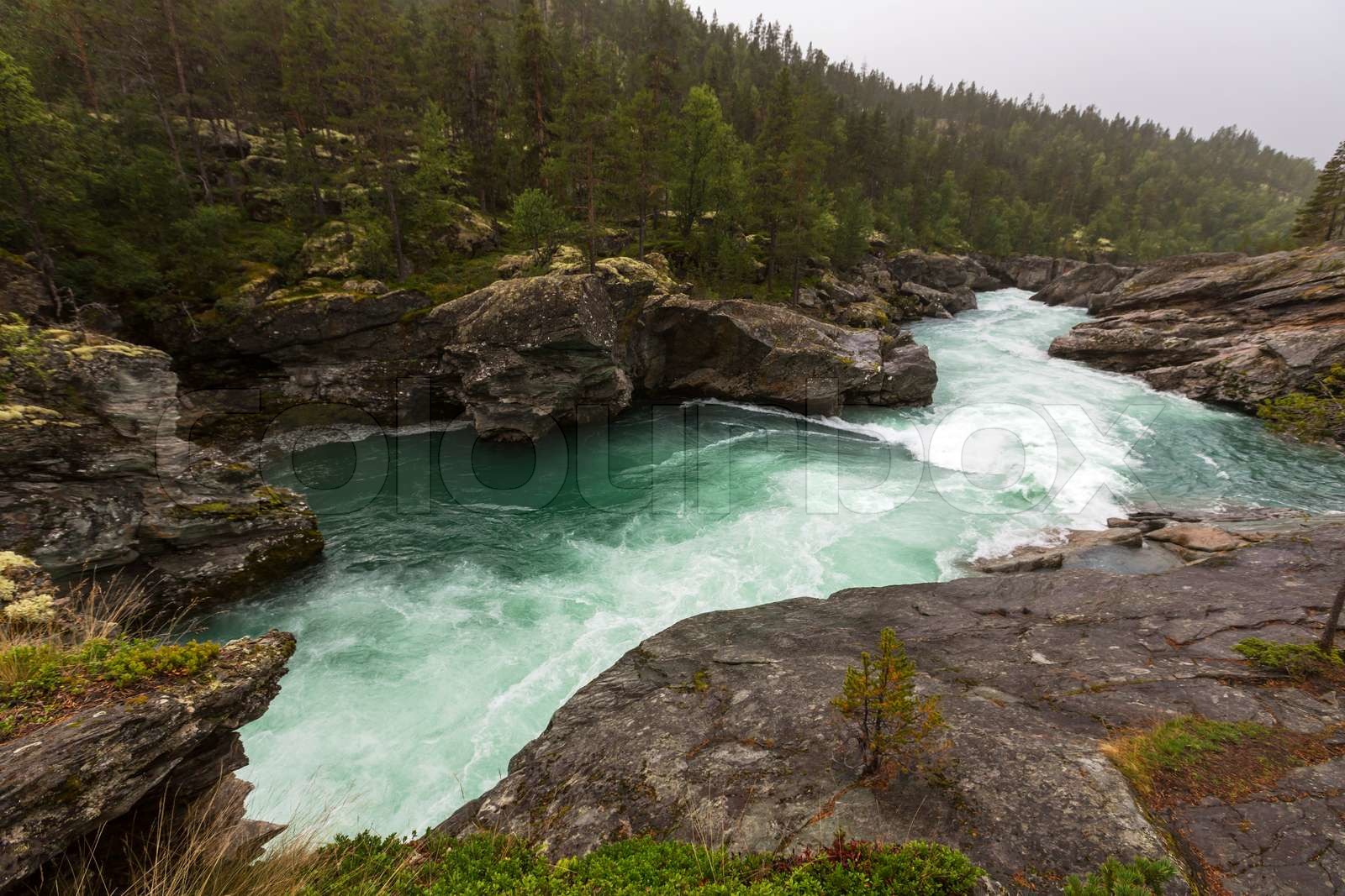 River in Norway | Stock image | Colourbox
