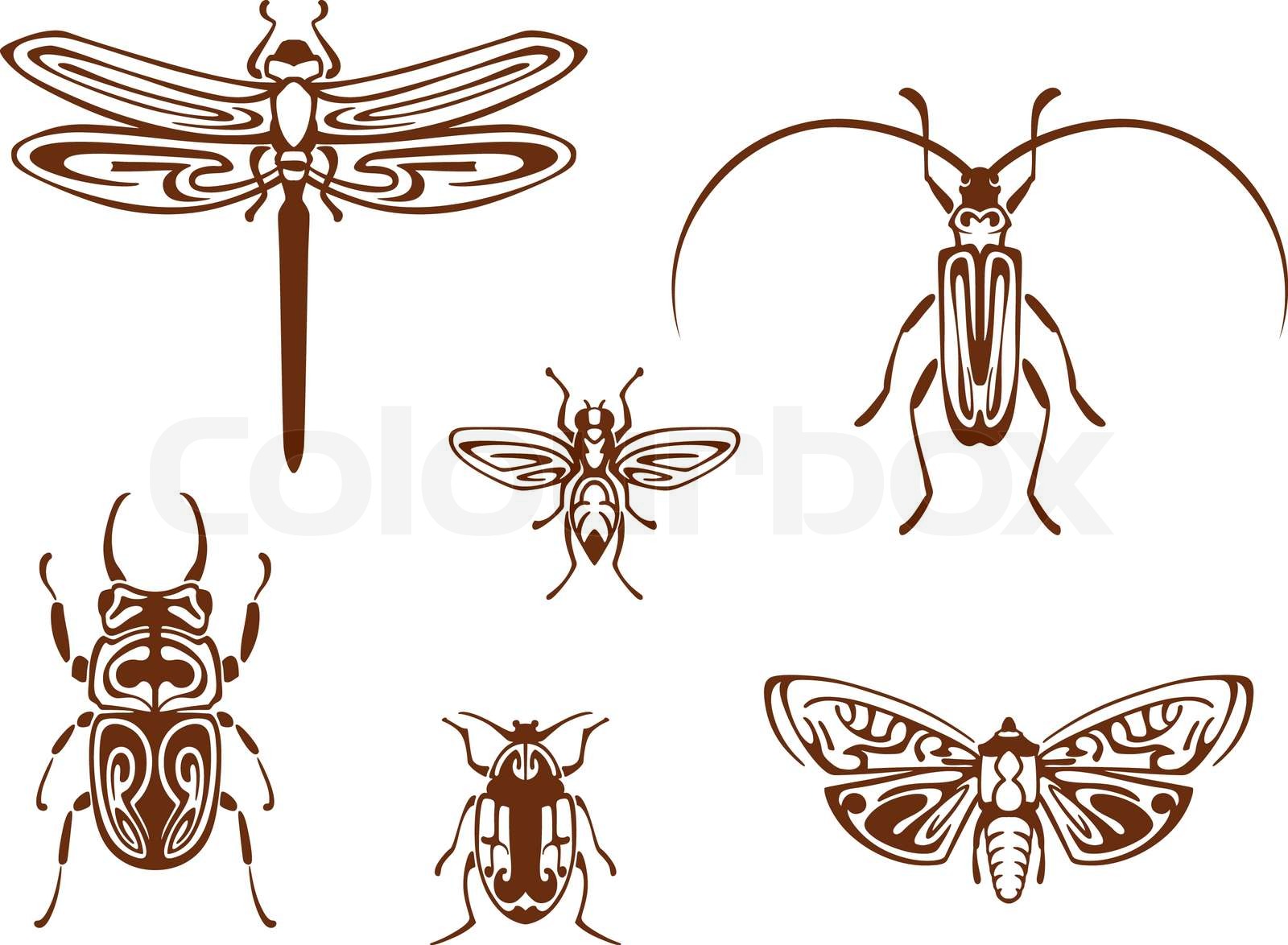 Insects in tribal ornamental style | Stock vector | Colourbox