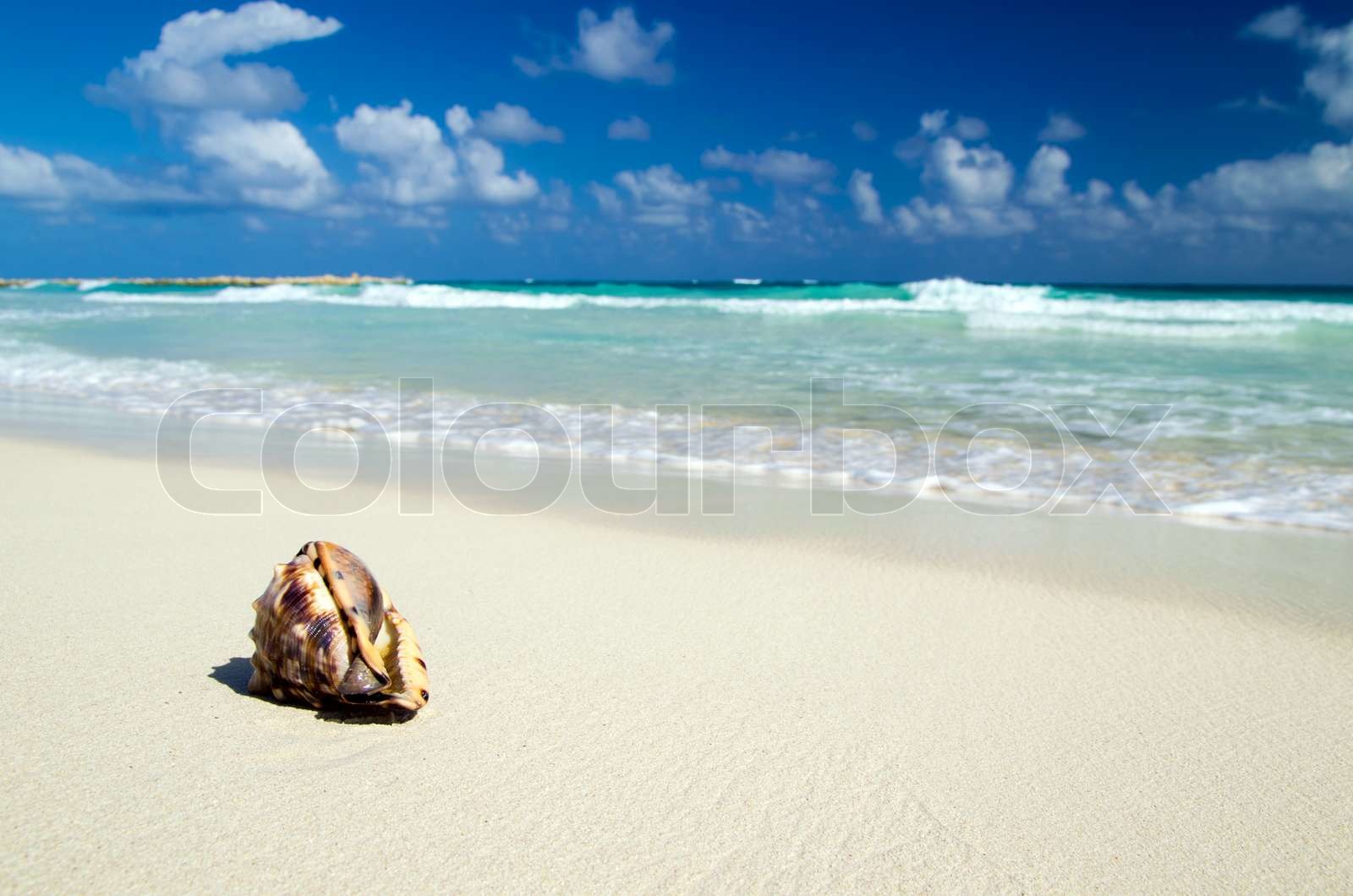caribbean beach | Stock image | Colourbox