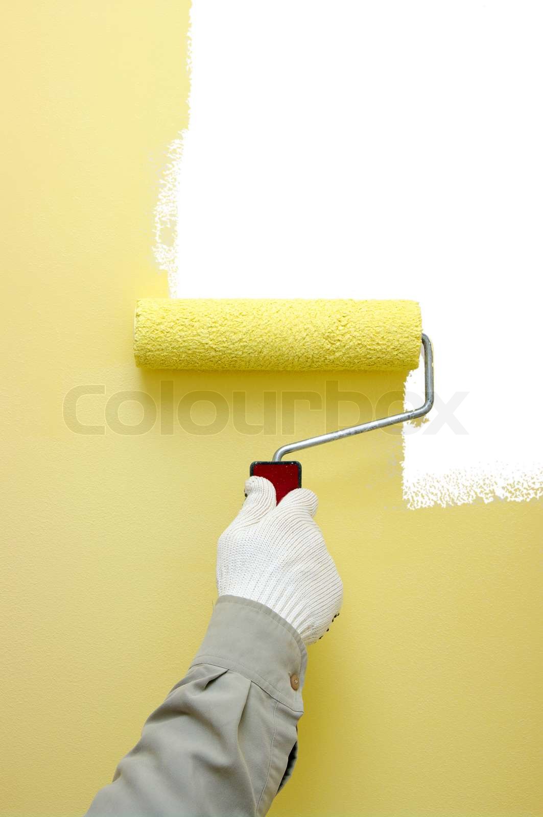 paint roller | Stock image | Colourbox