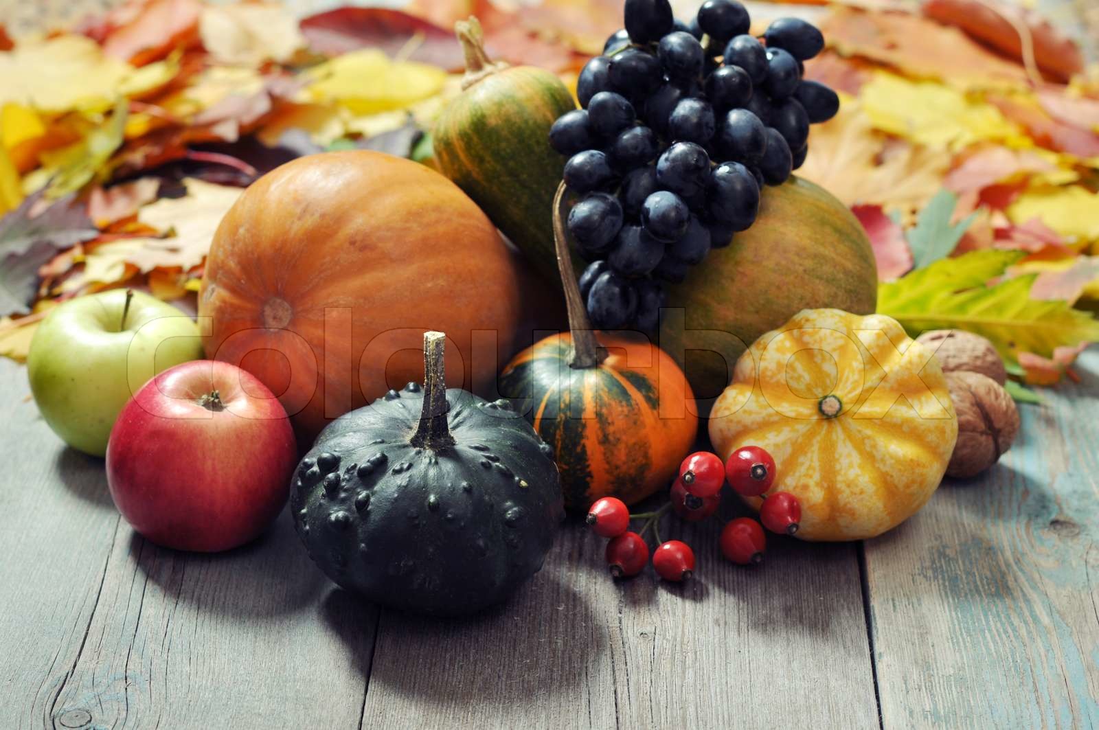 Herbst Obst und Gemüse | Stock Bild | Colourbox