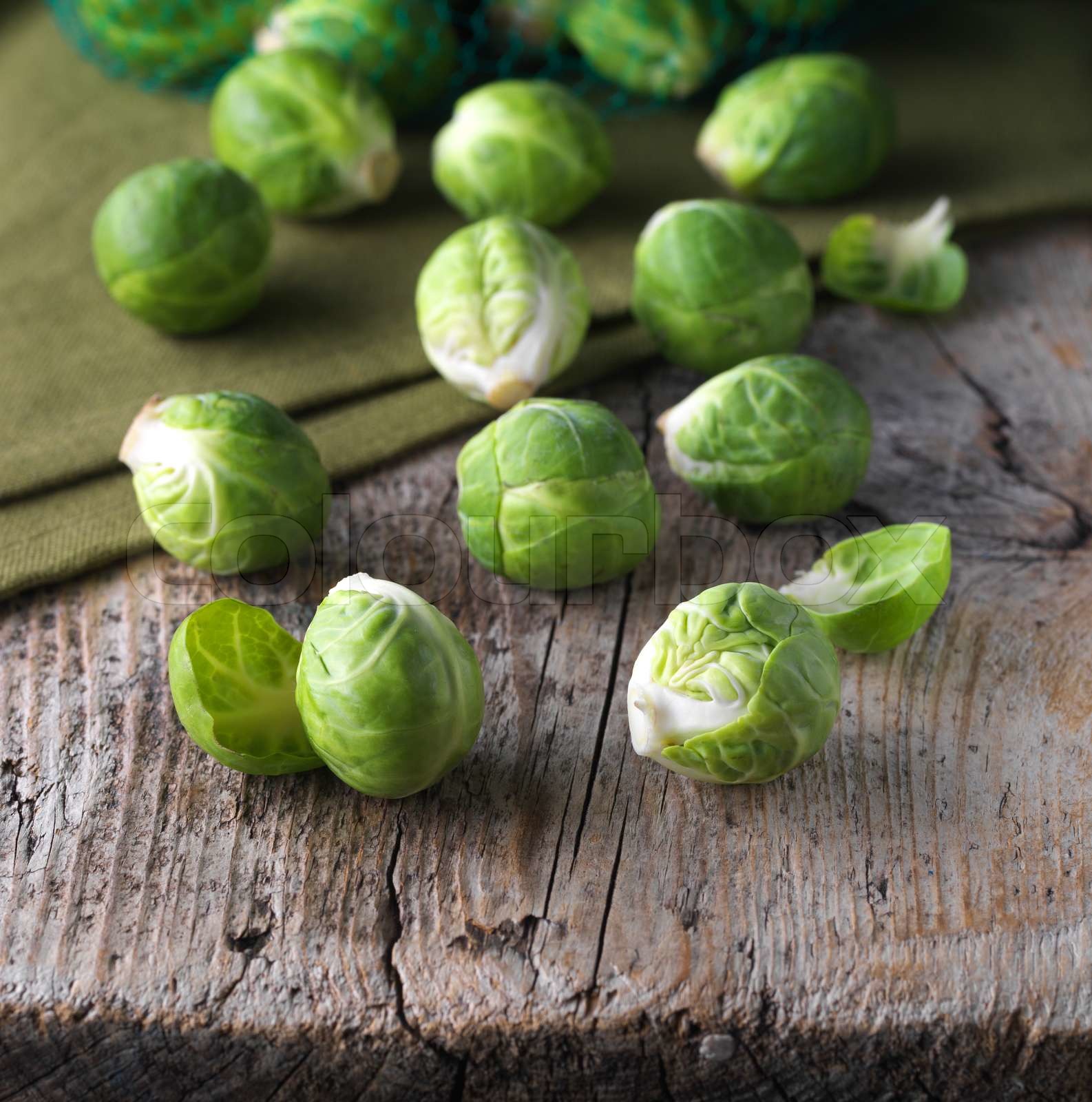Brussels sprouts cabbage | Stock image | Colourbox