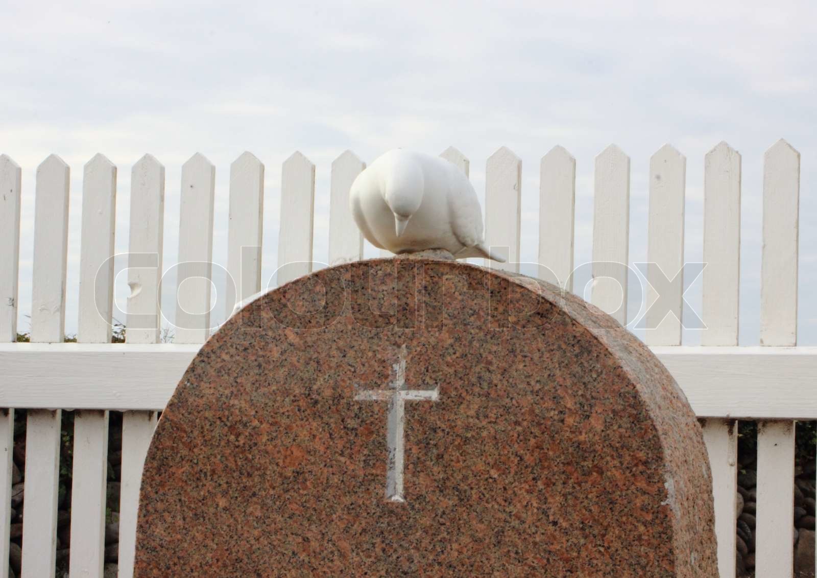 Simple tombstone at graveyard with white fence and pigeon | Stock image ...