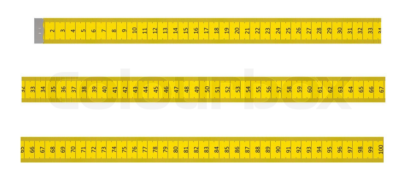 Ruler | Stock image | Colourbox