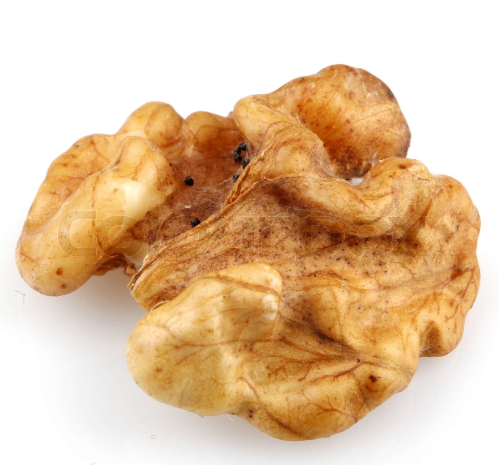 Walnuts Isolated | Stock image | Colourbox