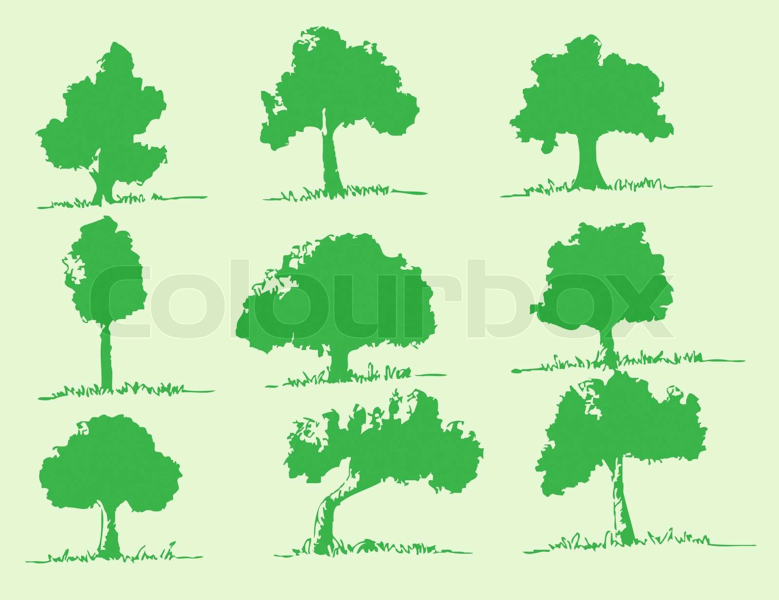 Vector trees with leaves | Stock vector | Colourbox