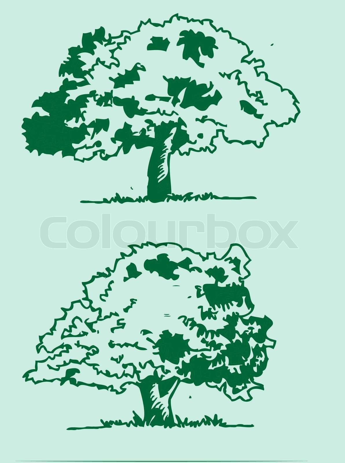 Vector trees with leaves | Stock vector | Colourbox