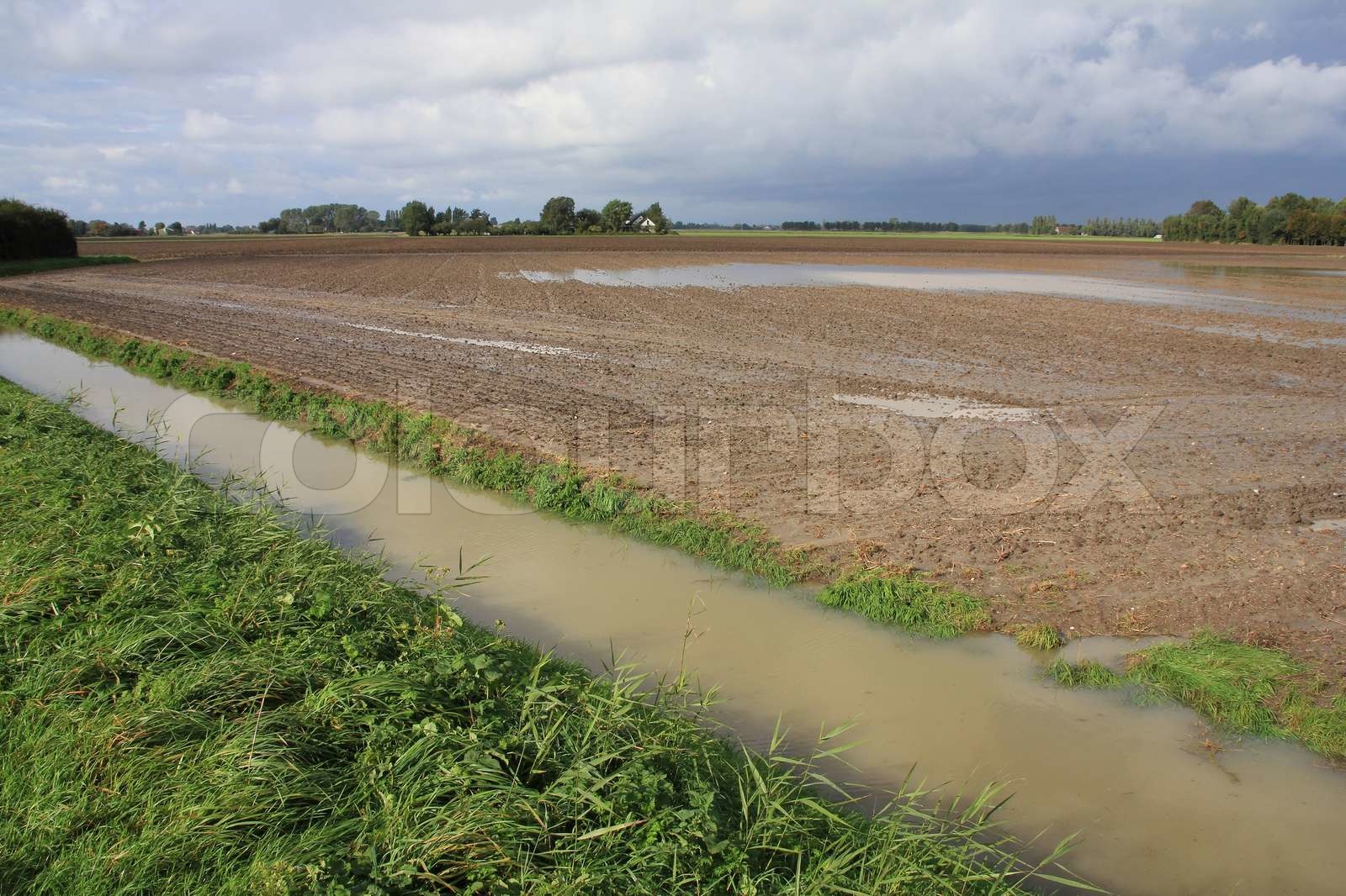 High water level in pit. | Stock image | Colourbox