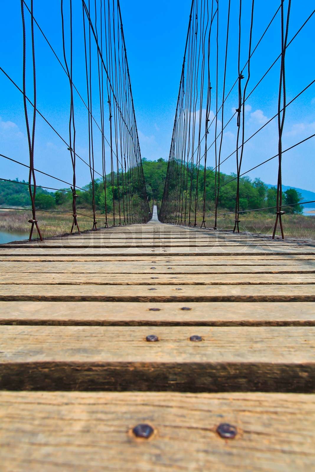 Rope bridge | Stock image | Colourbox
