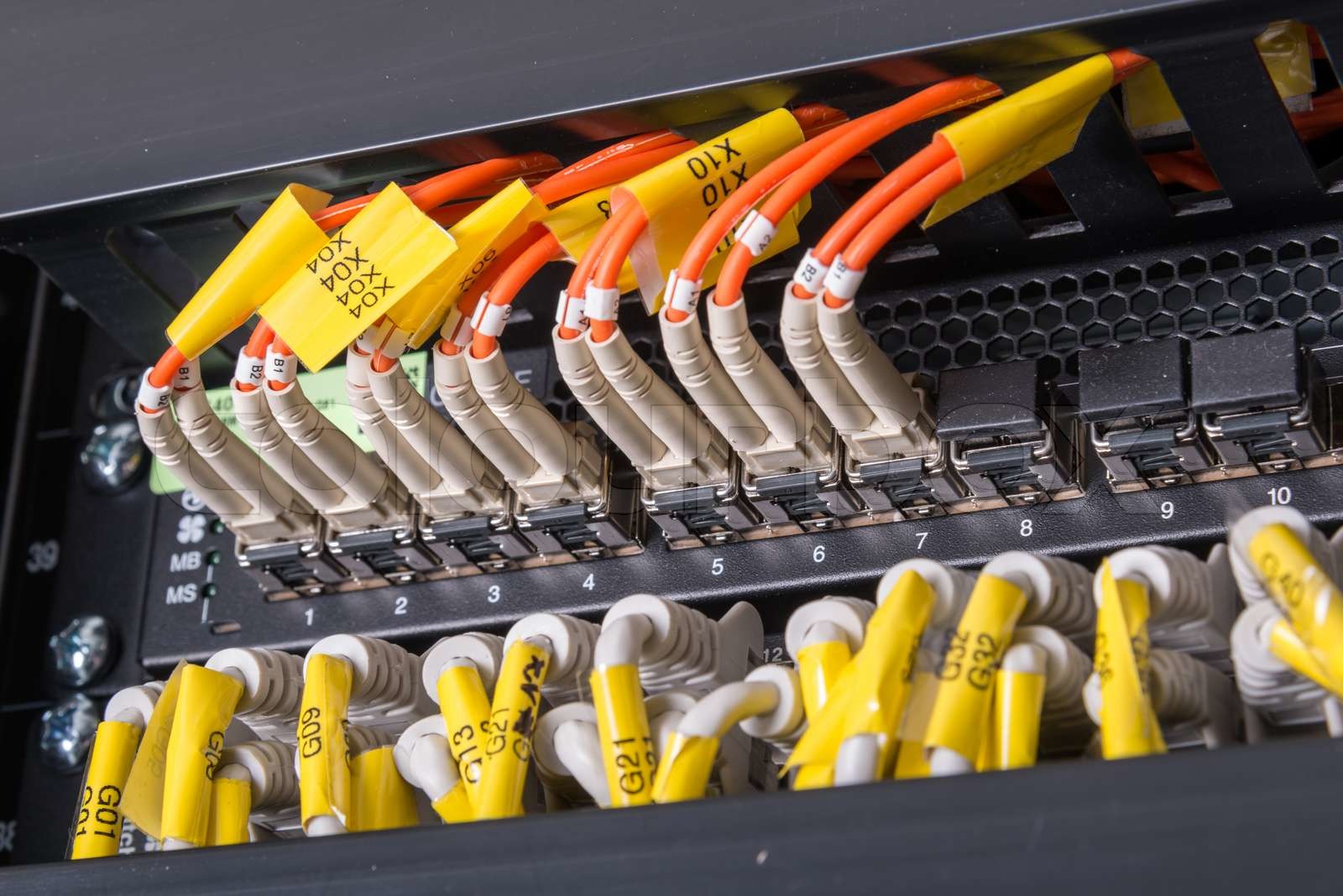 network cables connected to switch | Stock image | Colourbox