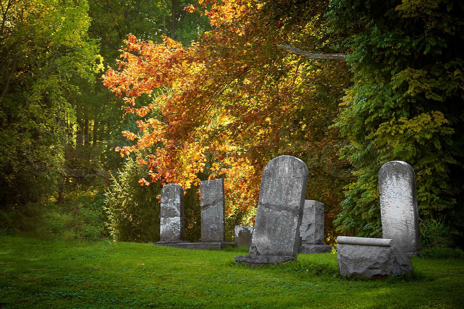 Old Cemetery | Stock image | Colourbox