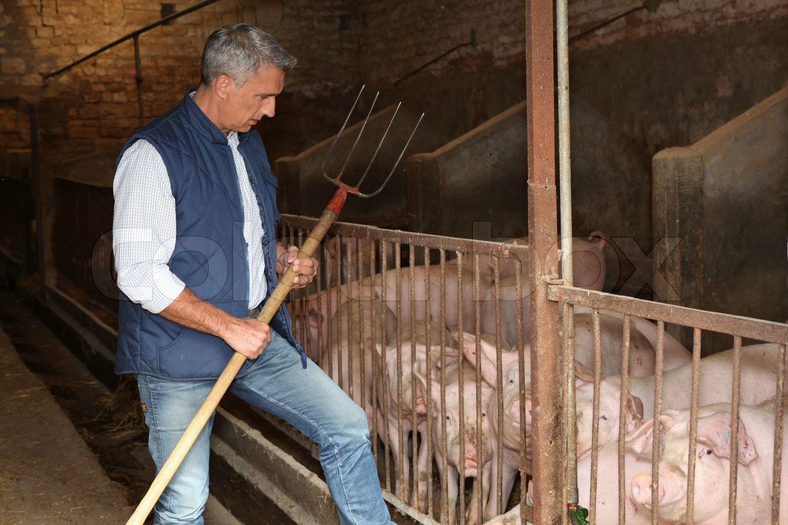Farmer with pitchfork | Stock image | Colourbox