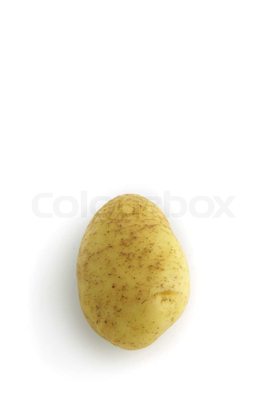 Single potato | Stock image | Colourbox