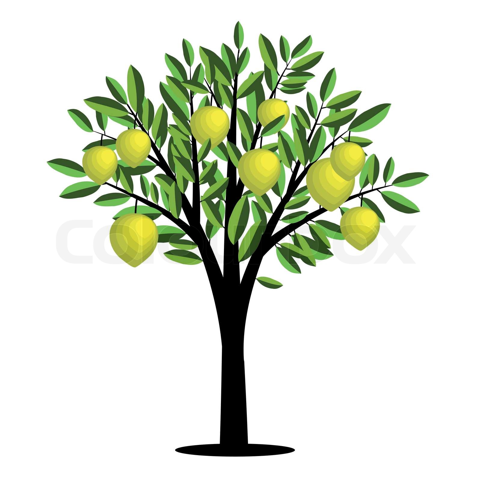 Lemon tree | Stock vector | Colourbox